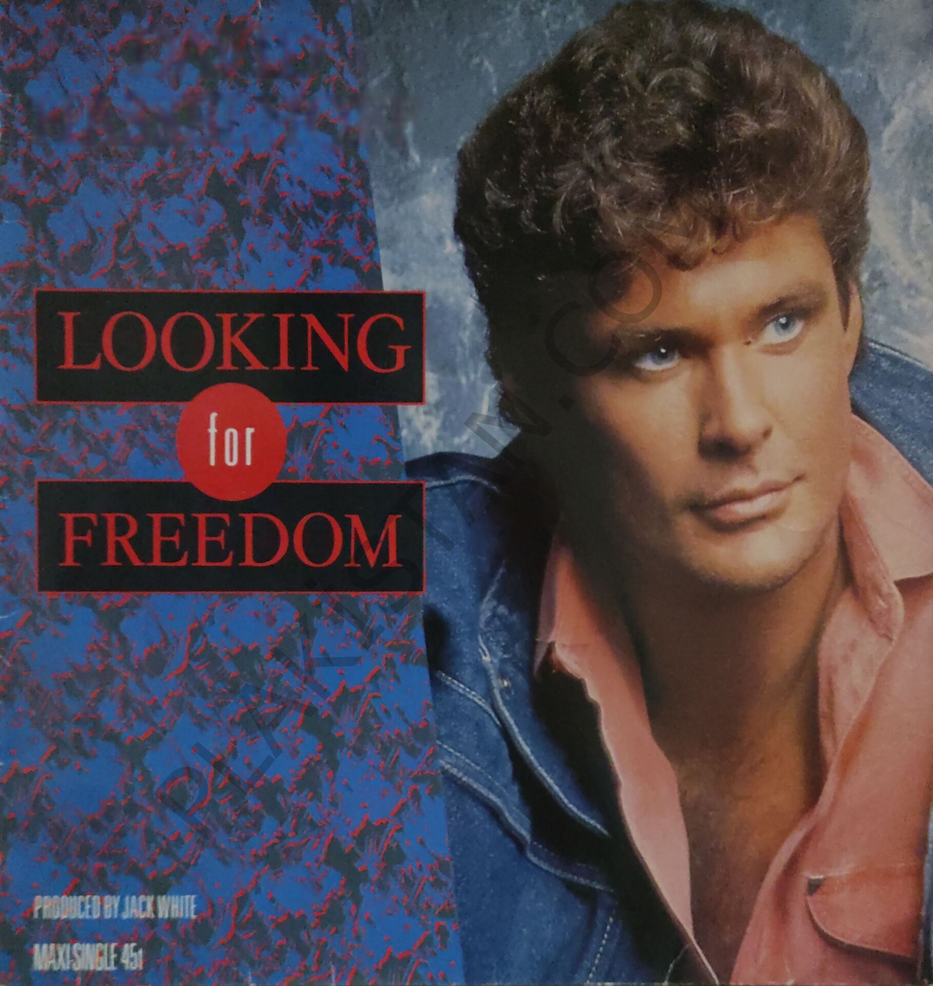 David Hasselhoff Looking For Freedom 45lik LP PLAK